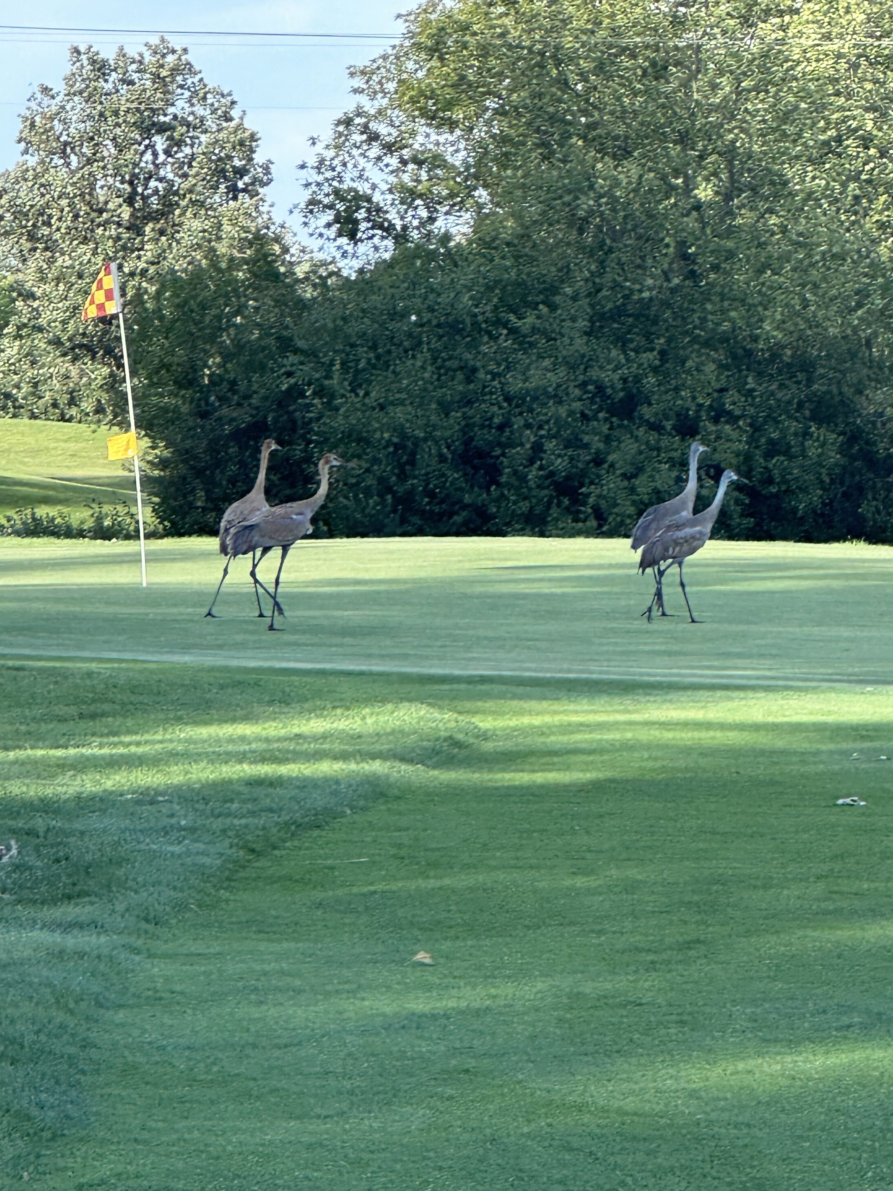 Rates - Rolling Oaks Golf Course